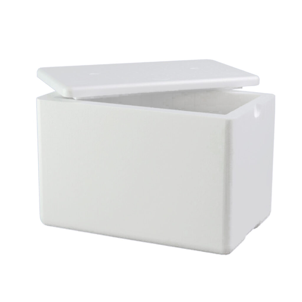 POLYSTYRENE COOLER BOX 22lt 46x30x33cm - Hasmart