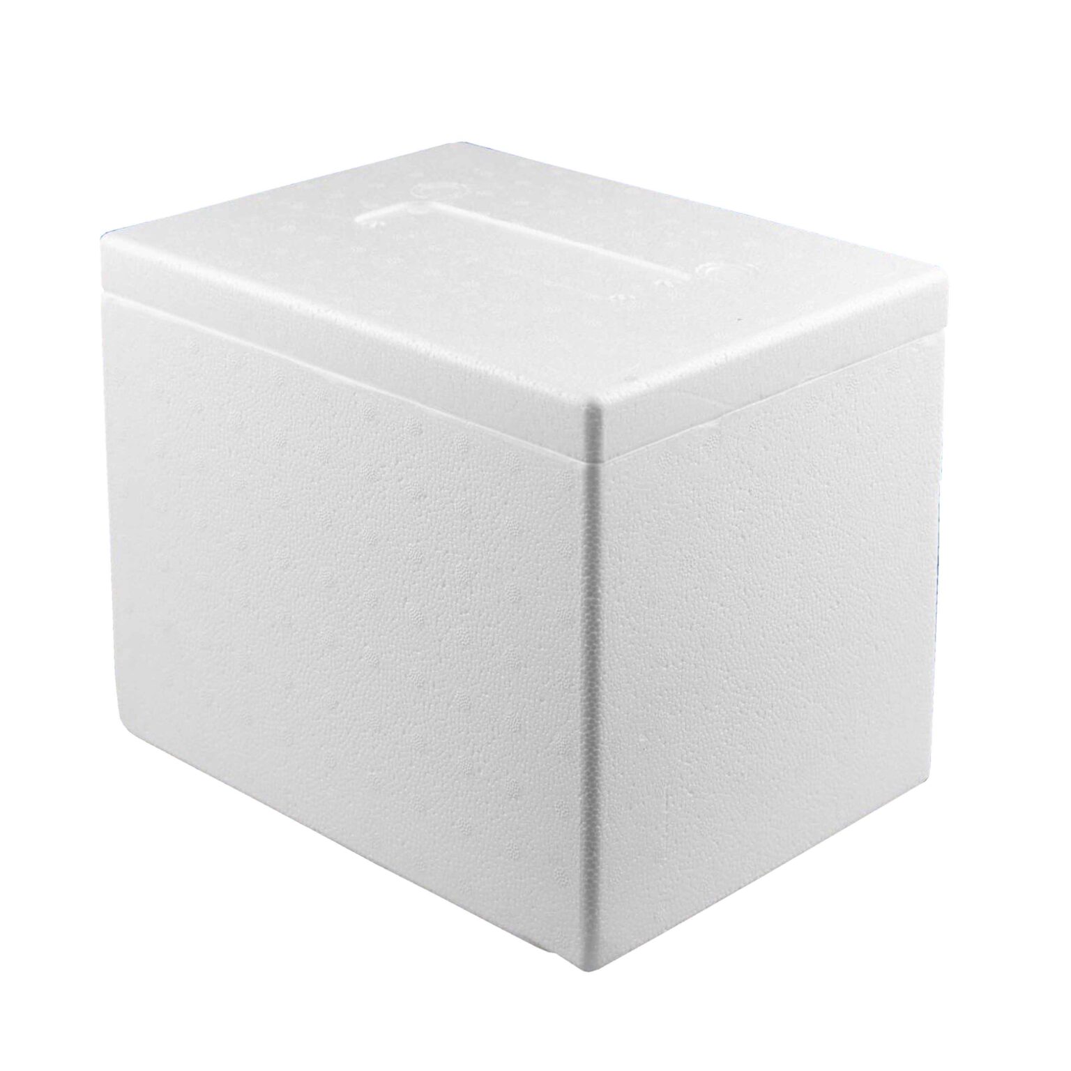 POLYSTYRENE PHARMA COOLER BOX 5lt 26x19x21.5cm - Hasmart