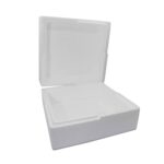 POLYSTYRENE ICE CREAM BOX 16.5 x 16.5 x 9.5cm - Hasmart