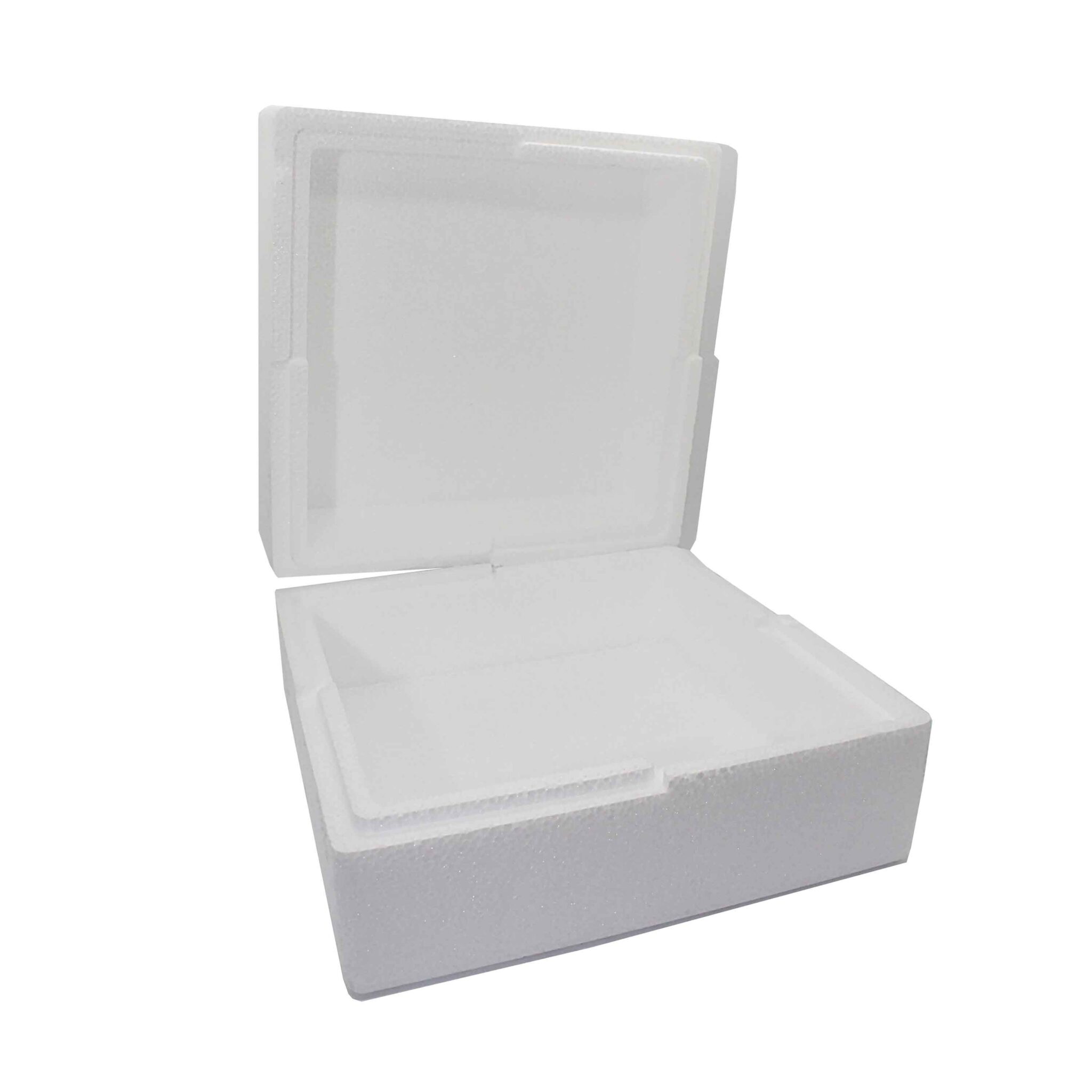 POLYSTYRENE ICE CREAM BOX 16.5 x 16.5 x 9.5cm - Hasmart