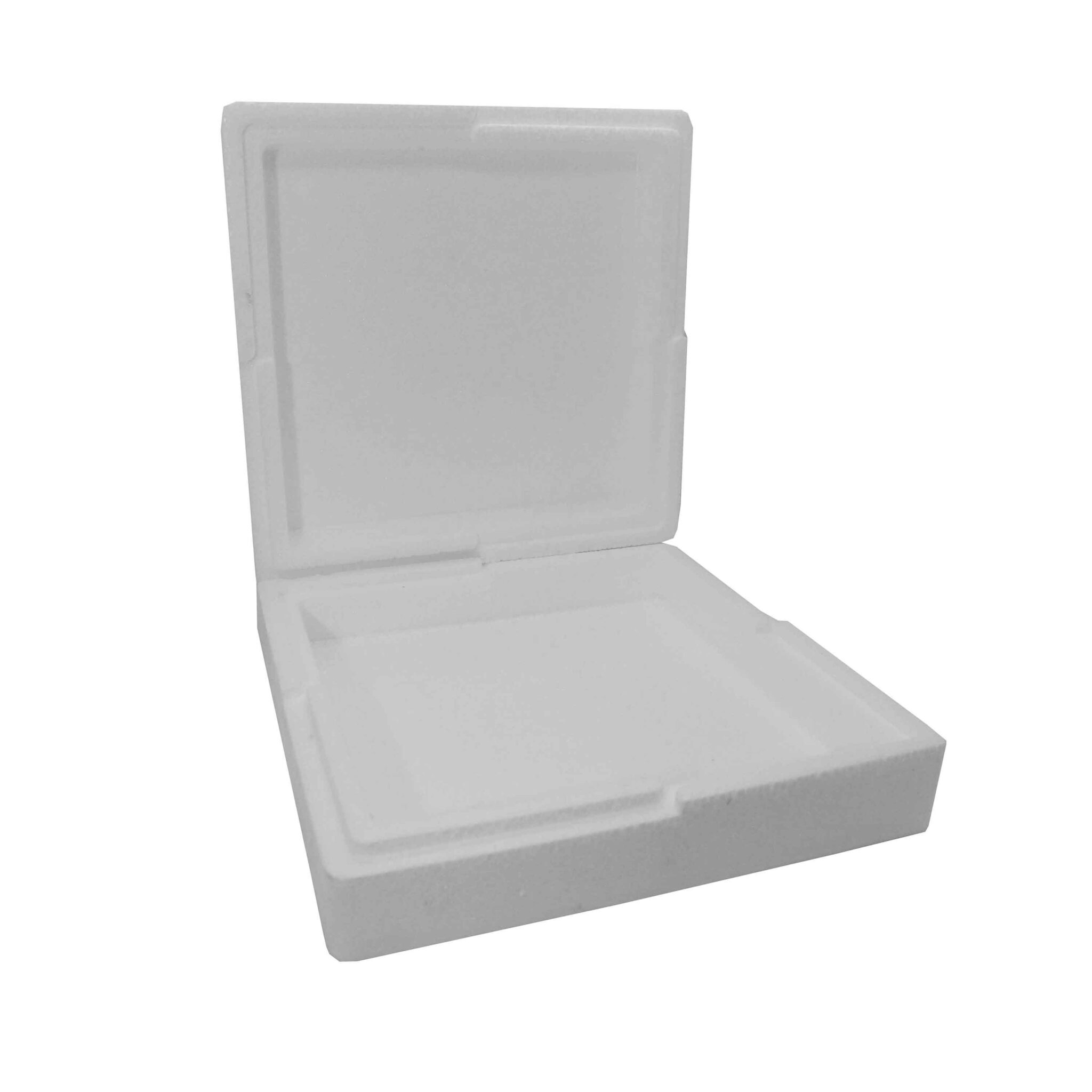 POLYSTYRENE ICE CREAM BOX 16.5 x 16.5 x 5.5cm - Hasmart